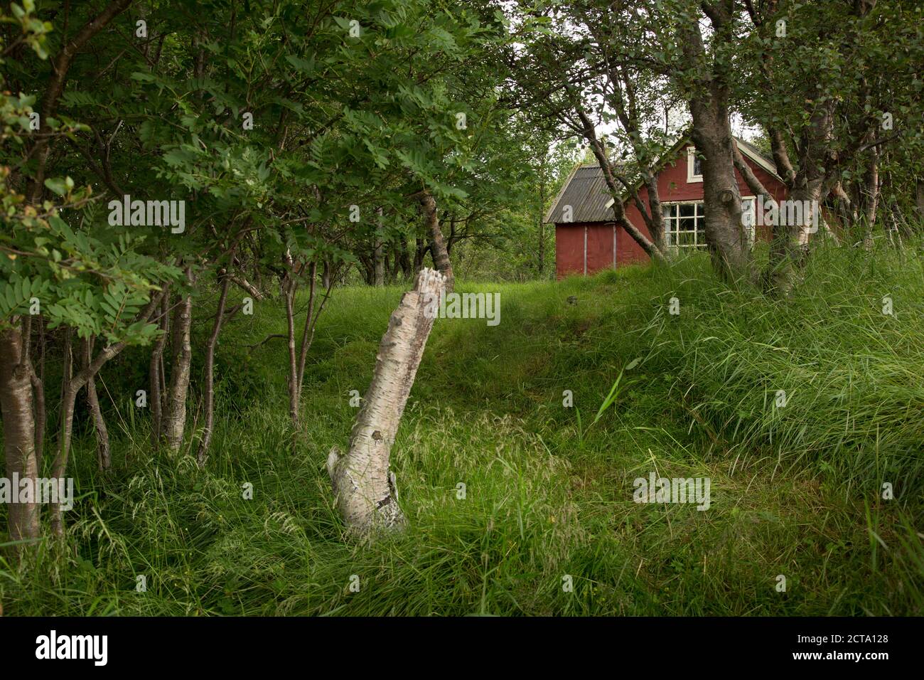 Iceland, view to little red cottage Stock Photo - Alamy