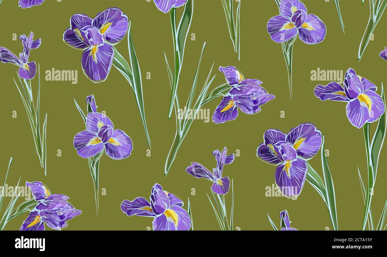 Irises flowers vector seamless background pattern hand drawn. Vector ...