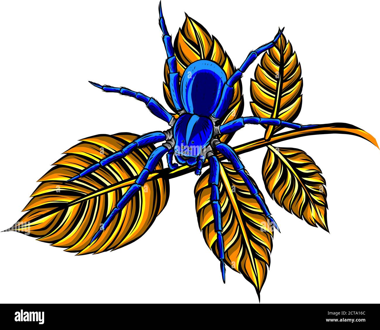 Hand Drawn Spider Illustration - Vector Design For Halloween And Other ...