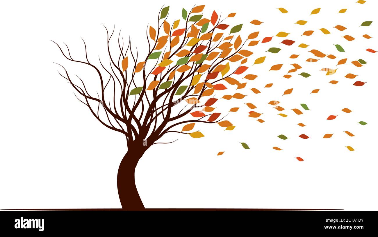 Shape of autumn Tree and your text. Vector outline Illustration. Plant ...