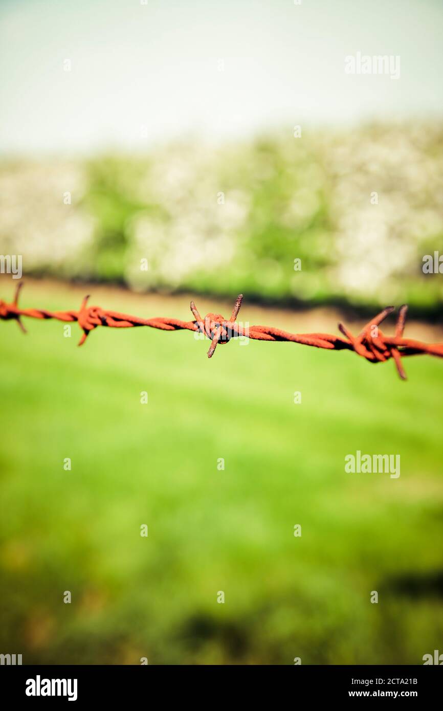 Focus on barbed wire hi-res stock photography and images - Alamy