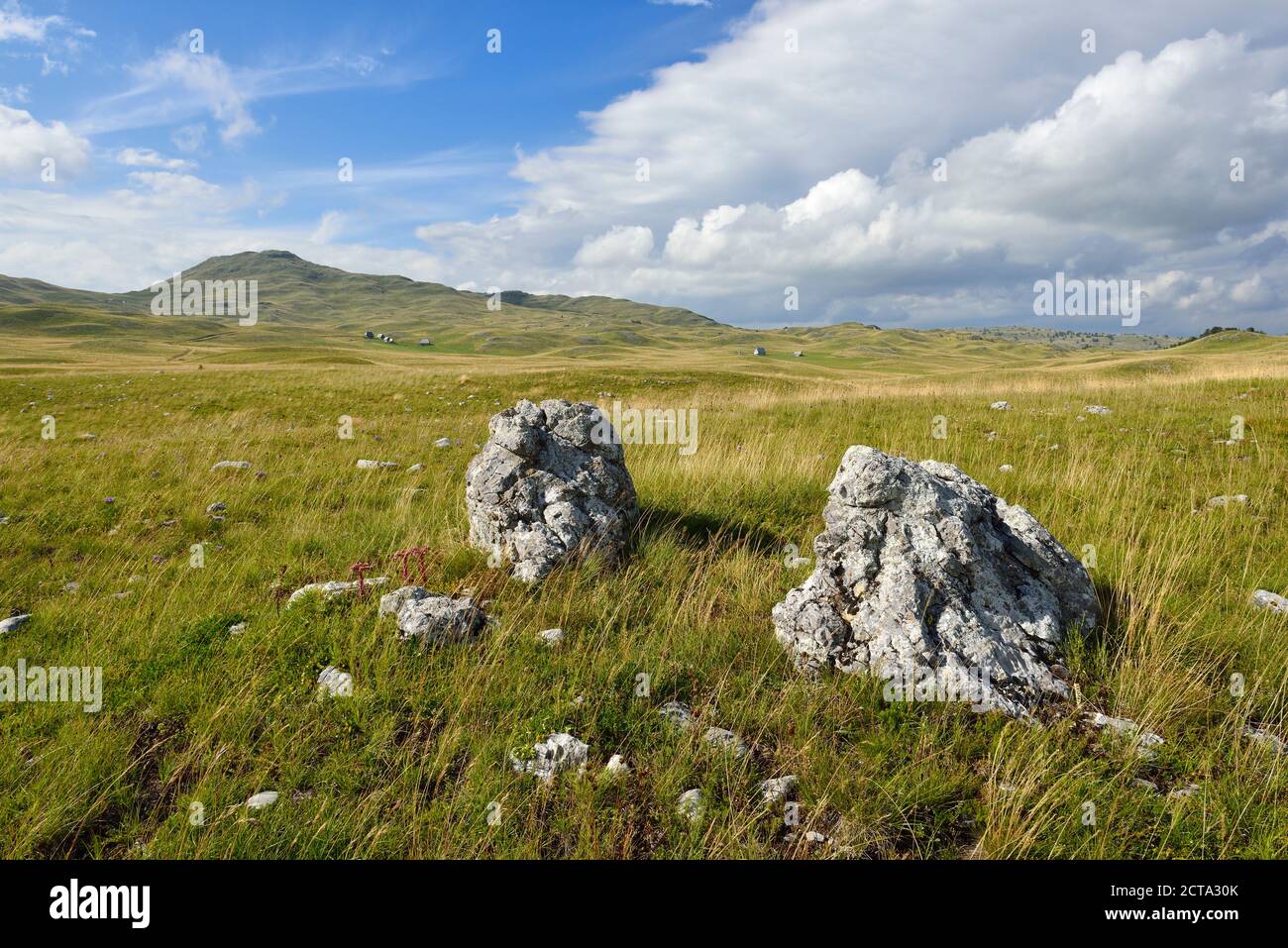 Montane steppe on sinjavina or sinjajevina plateau hi-res stock ...