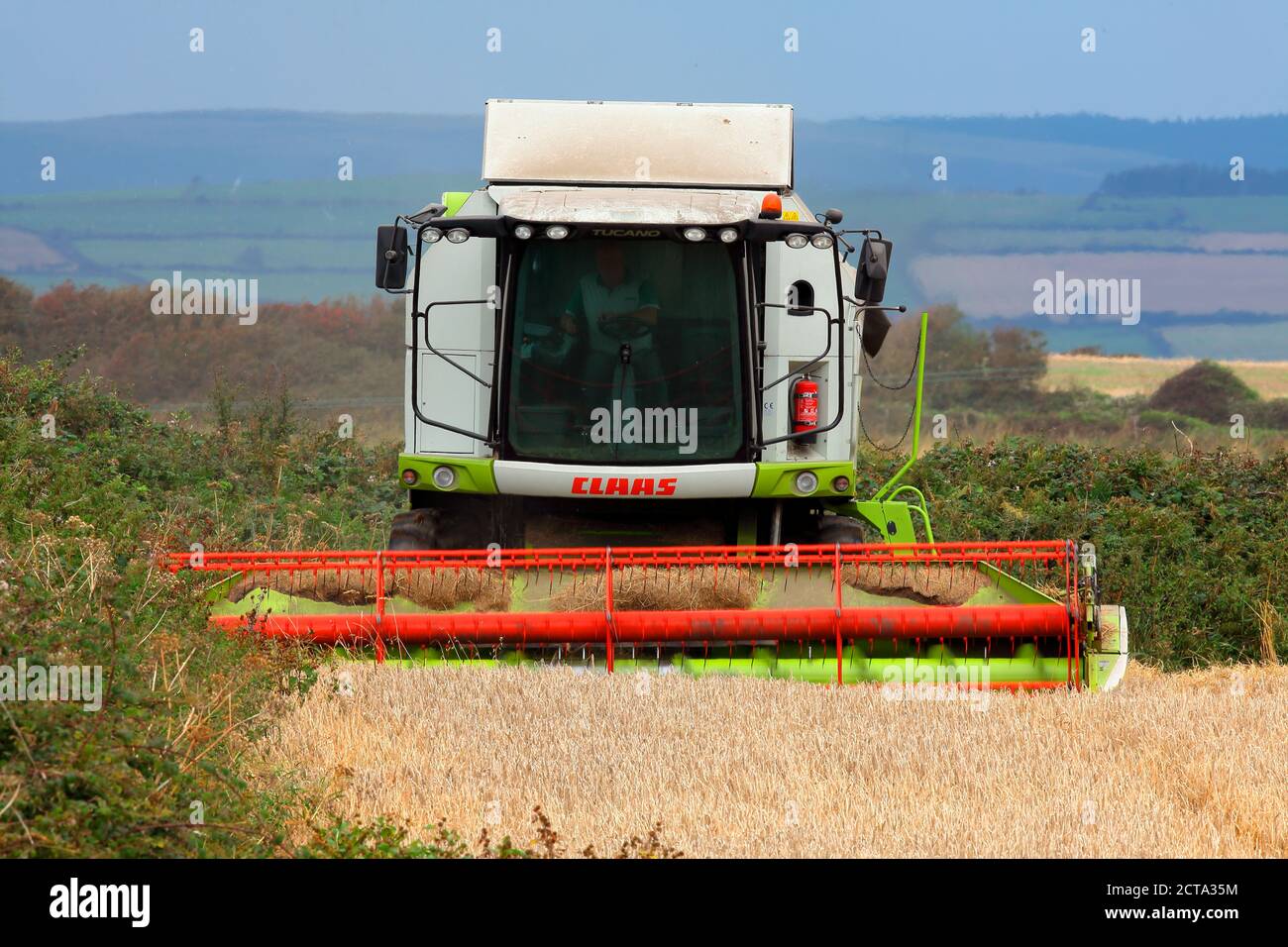 A lone operator out in the farms combine harvester gathering the wheat ...