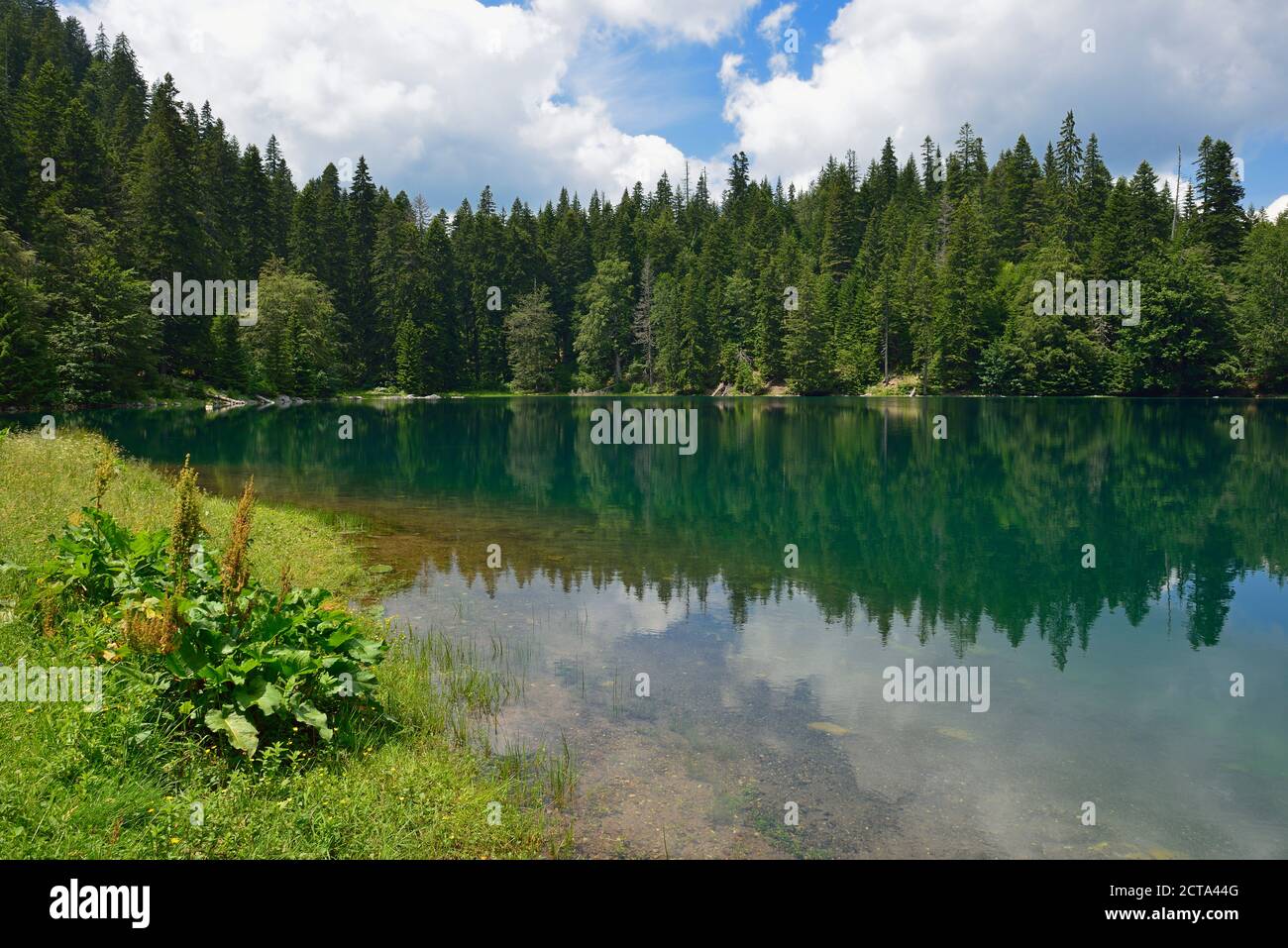 Sinjajevina plateau with zabojsko lake hi-res stock photography and ...