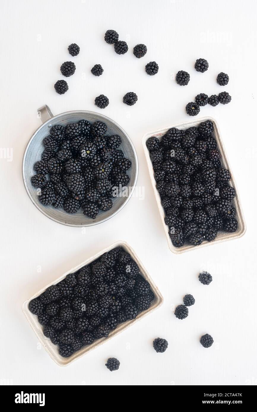 Blackberry punnets hi-res stock photography and images - Alamy