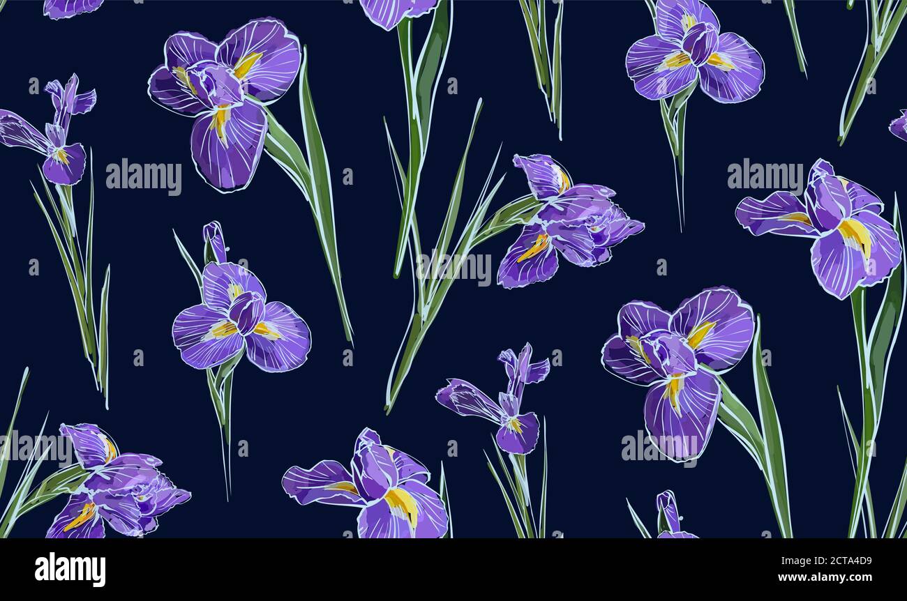 Irises flowers vector seamless background pattern hand drawn. Vector ...