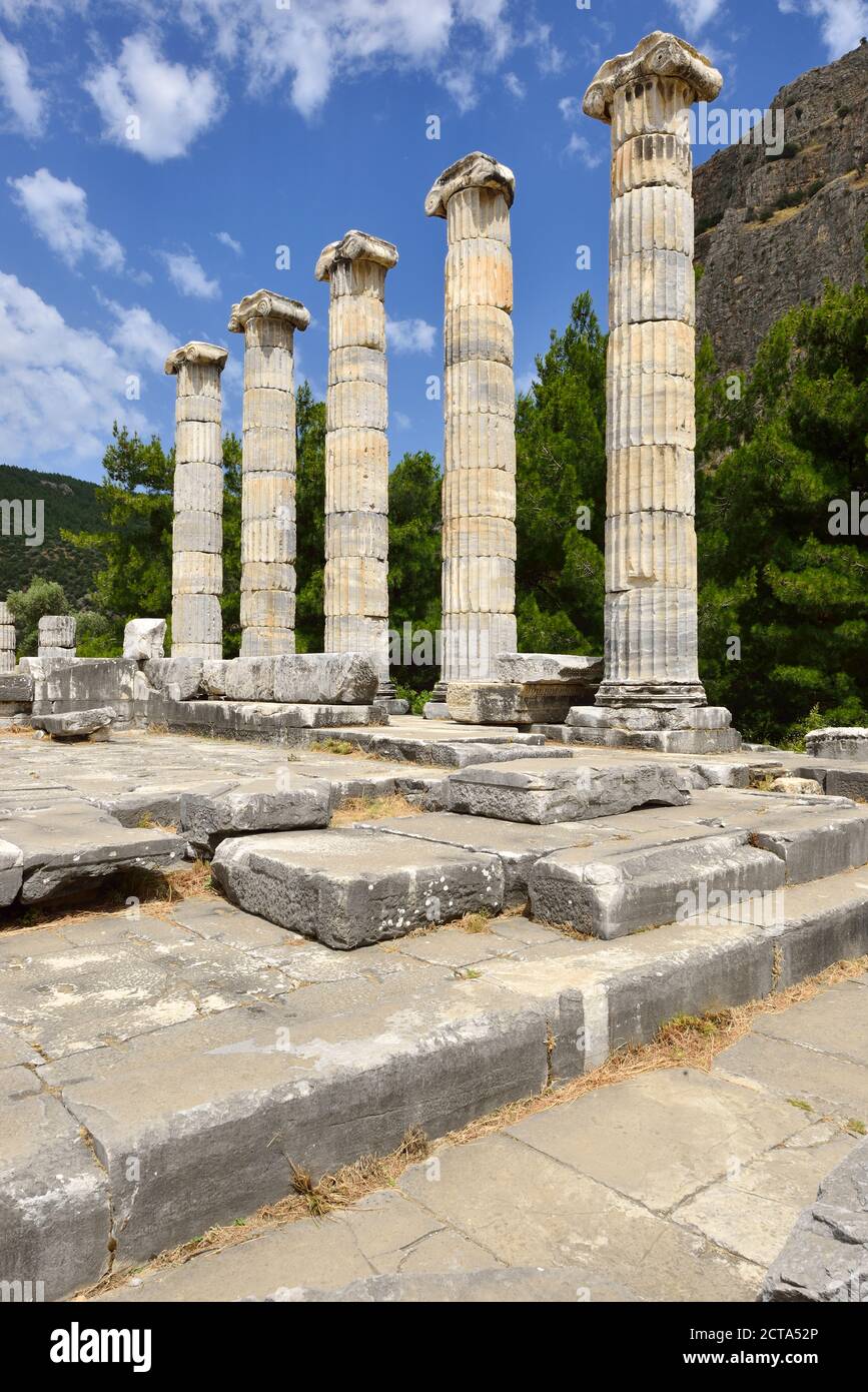 Turkey, Aydin Province, Ionia, antique Athena temple at the ...