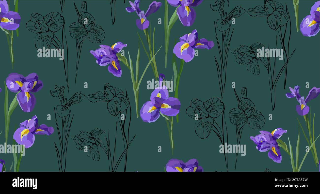 Irises flowers vector seamless background pattern hand drawn. Vector ...