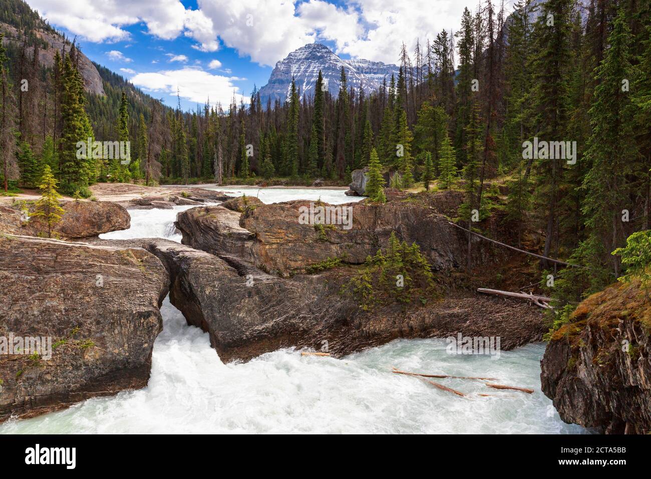 Canada, British Columbia, Yoho Nationalpark, Natural Bridge, Kicking ...