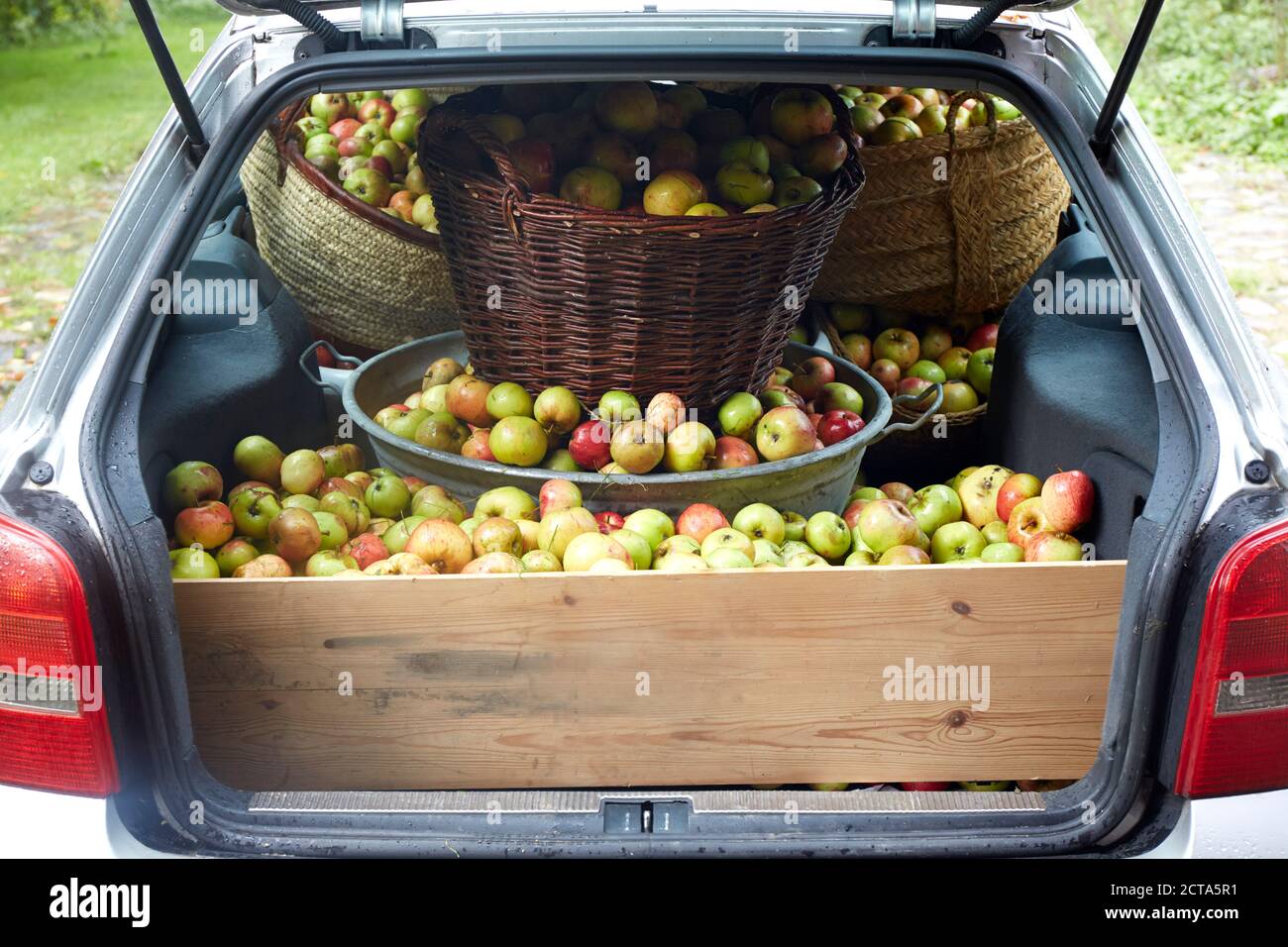 Germany, Schleswig-Holstein, Car boot full of apples Stock Photo - Alamy