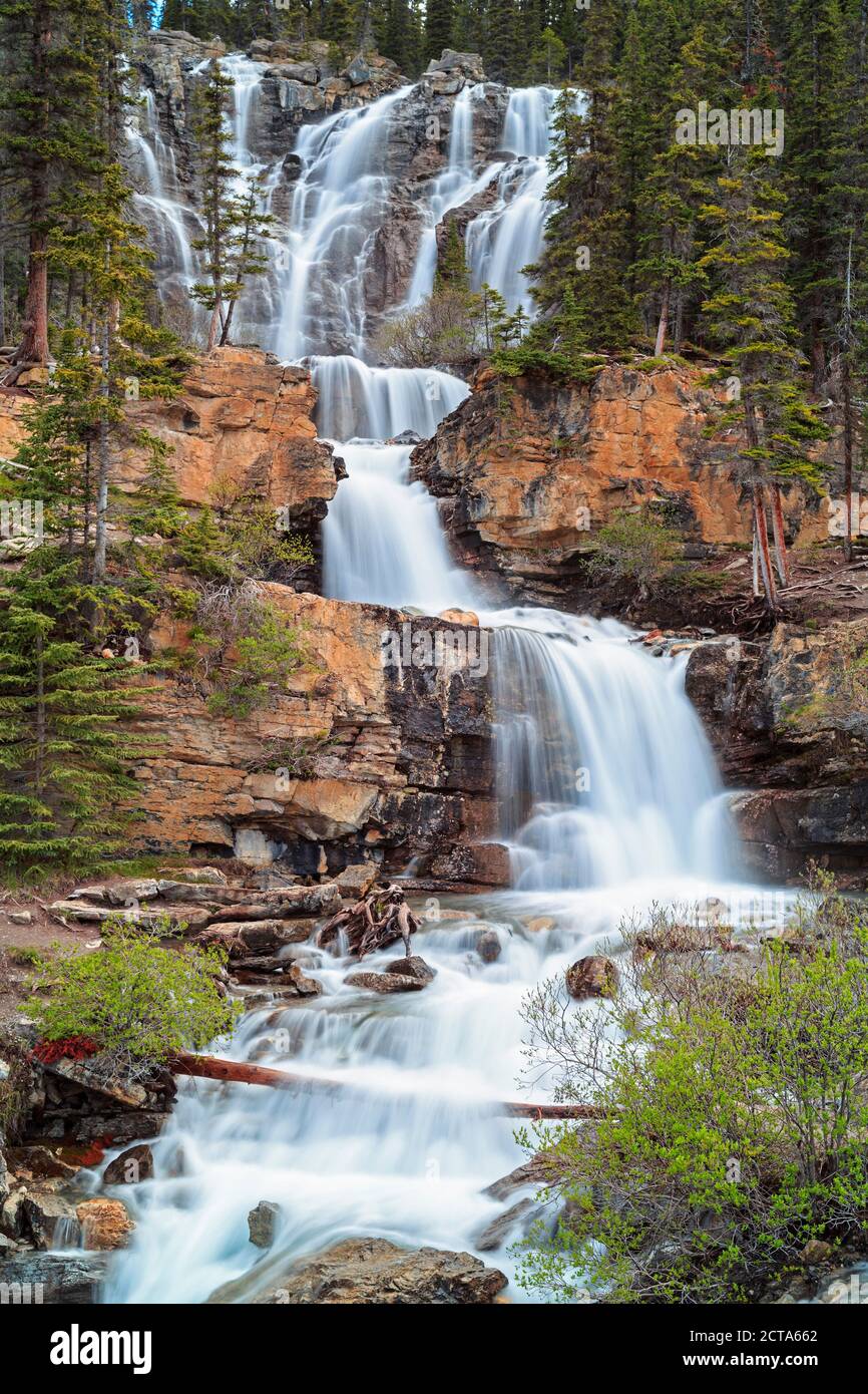 Tangle falls jasper national park hi-res stock photography and images ...