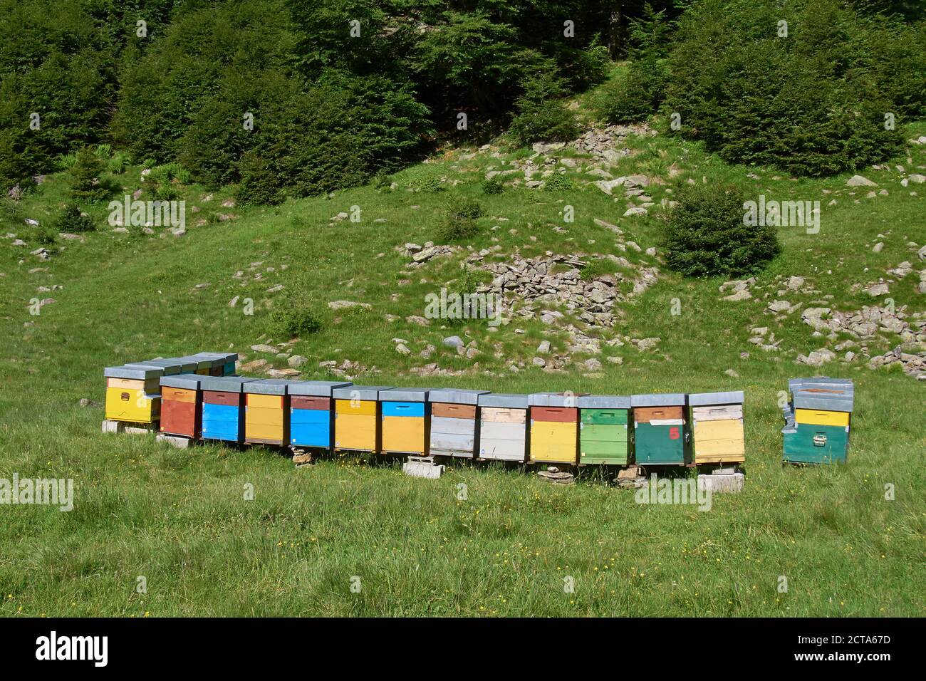 Colorful beehives italy hi-res stock photography and images - Alamy