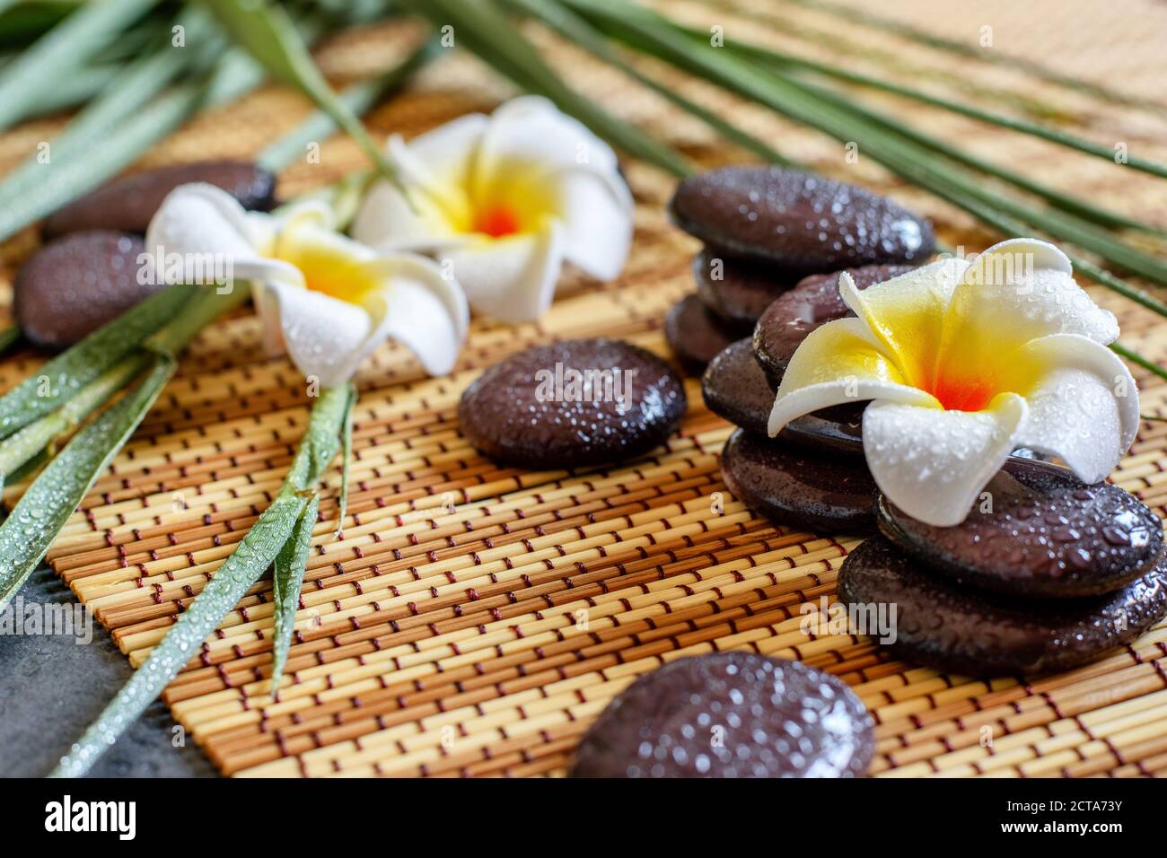 Spa straw napkin background, white plumeria, bamboo leaves and zen ...