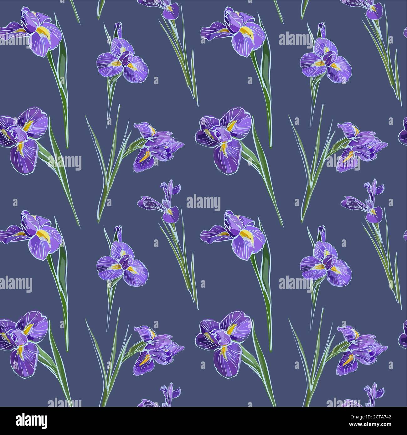 Irises flowers vector seamless background pattern hand drawn. Vector ...