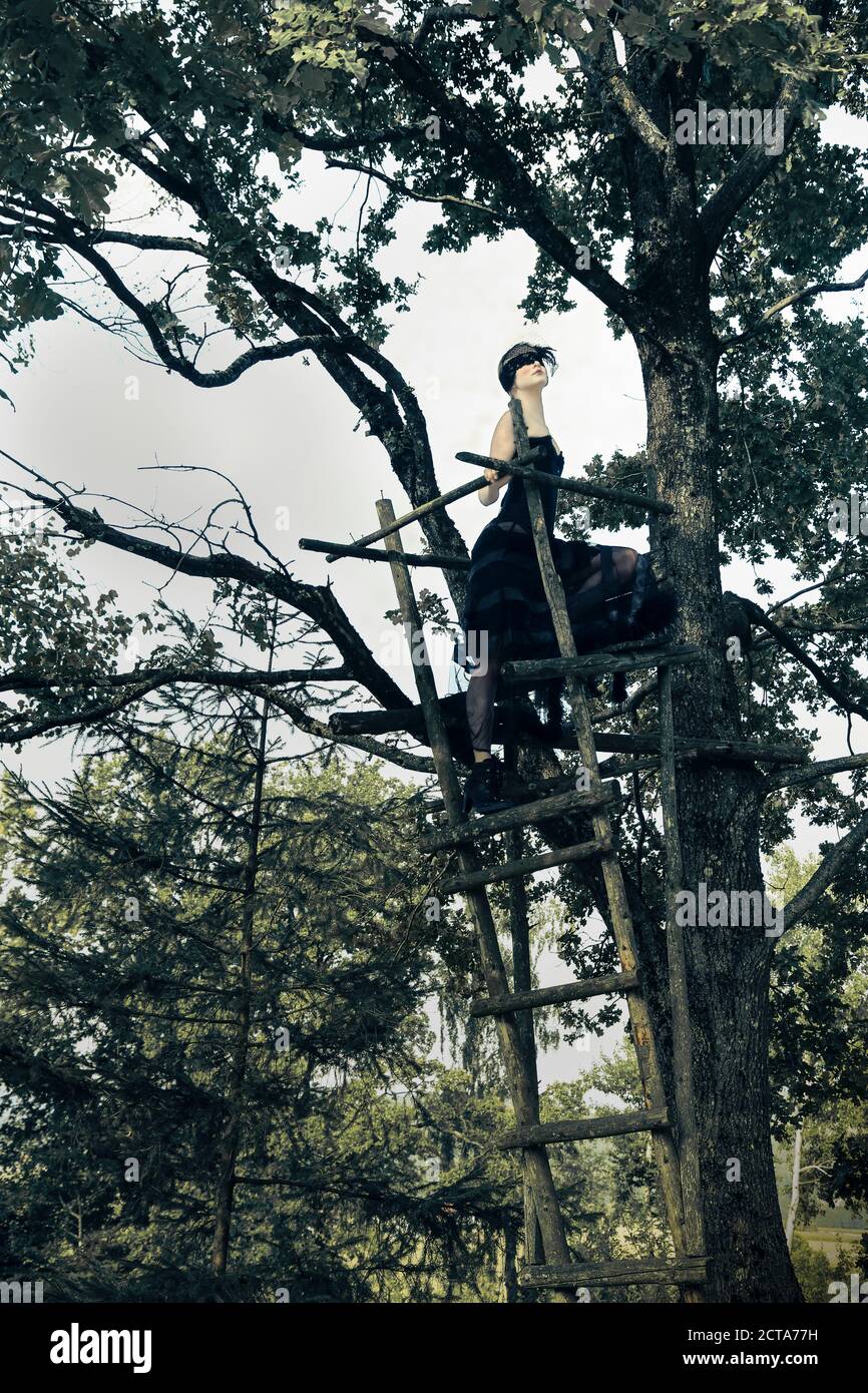 Blindfolded woman on raised hide in tree hi-res stock photography and ...