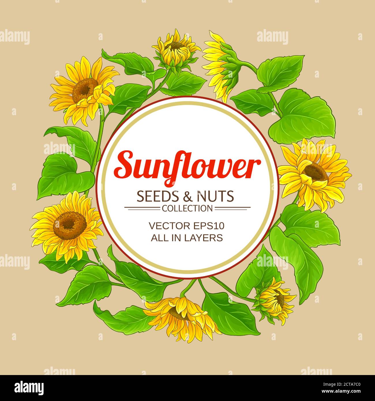 sunflower vector frame Stock Vector Image & Art - Alamy