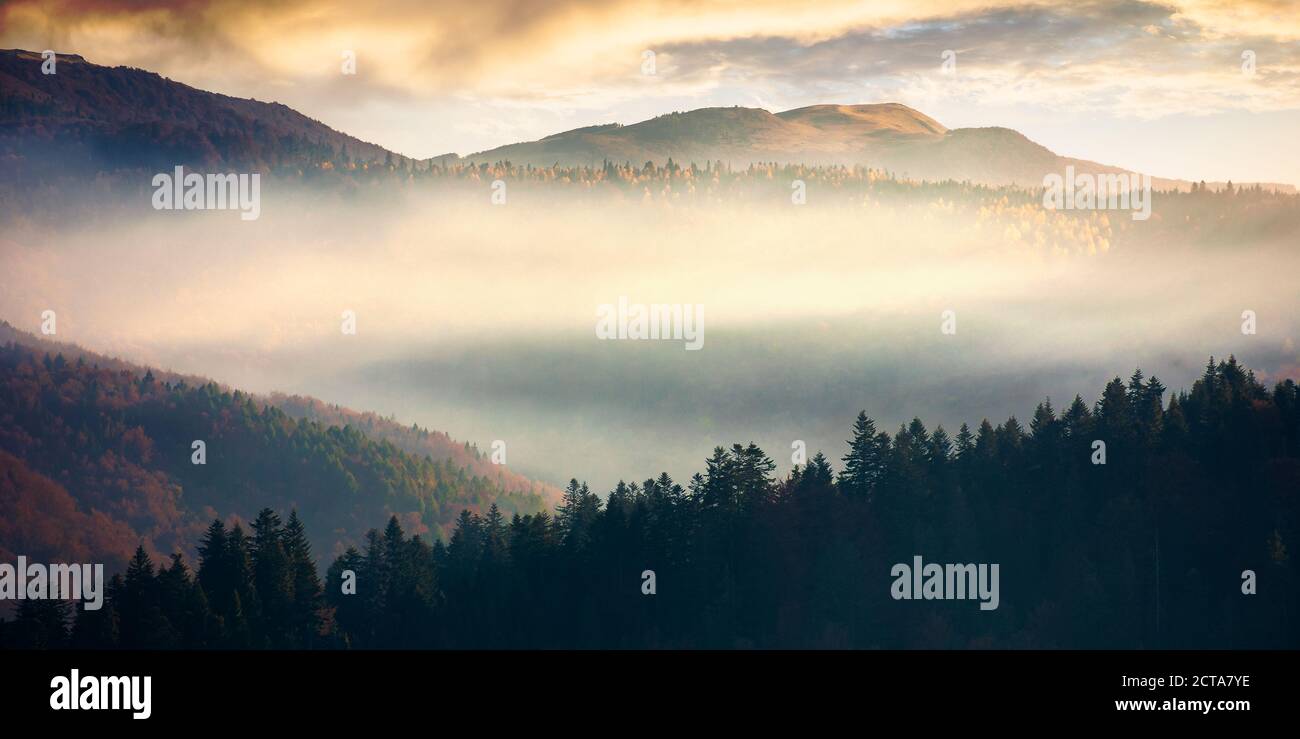 mountain landscape in autumn. fog glowing in morning light. dramatic ...