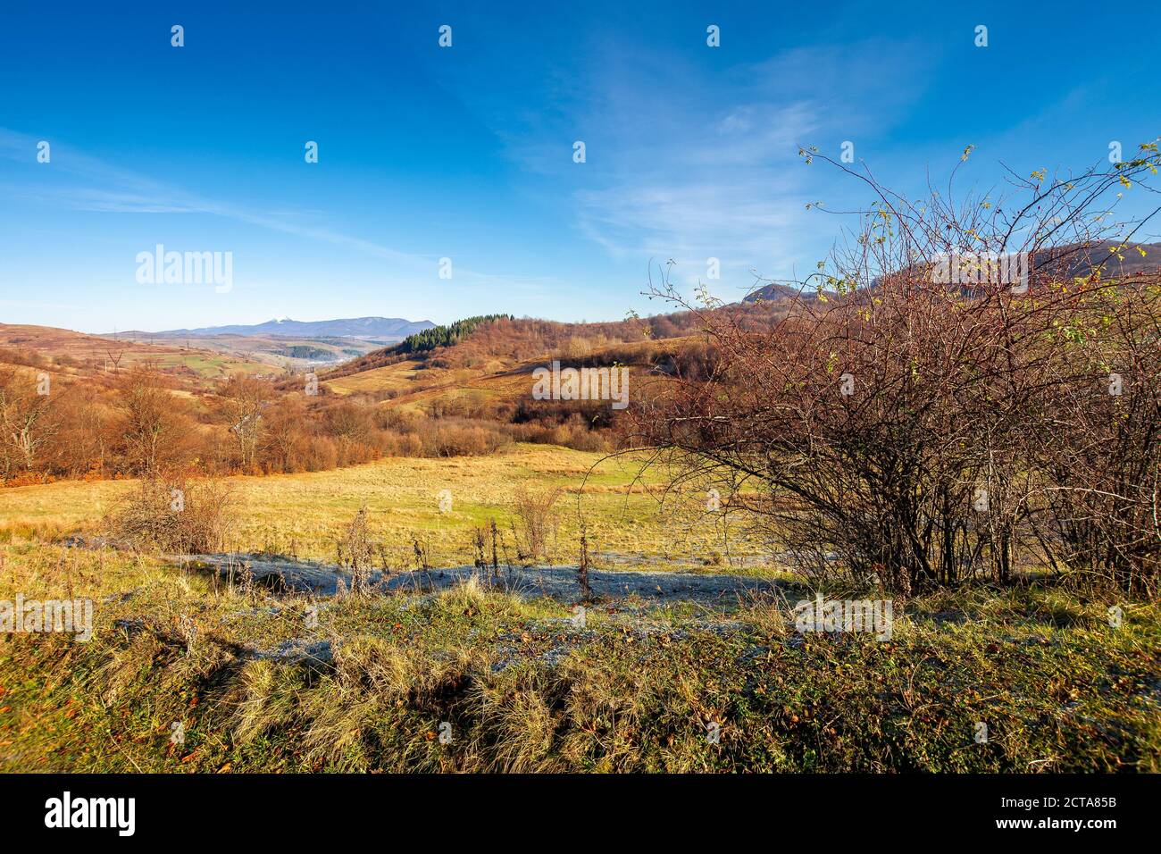 mountainous countryside in november. leafless trees on hills rolling in ...