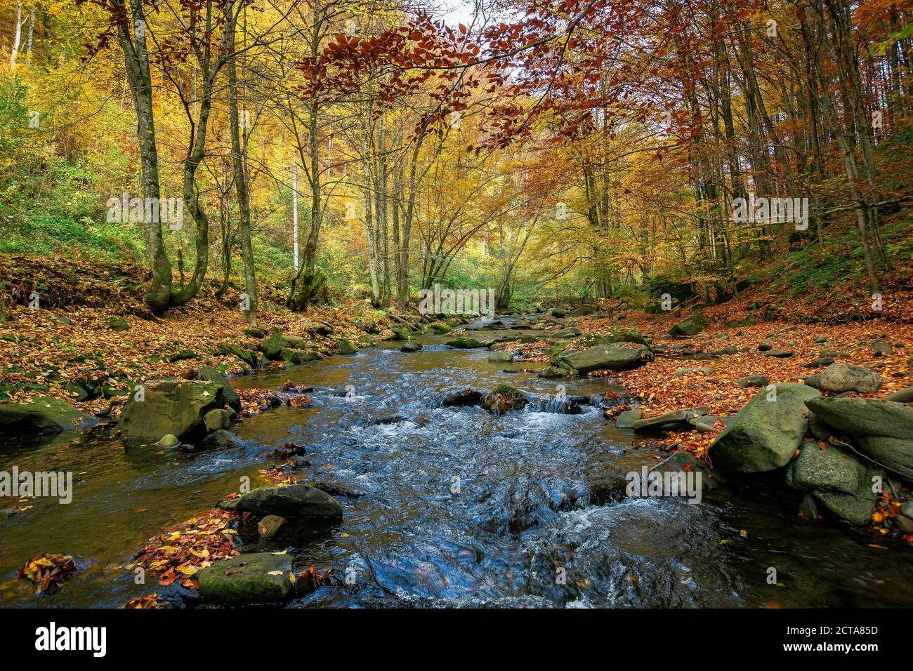 Beautiful wilderness river clean water hi-res stock photography and ...