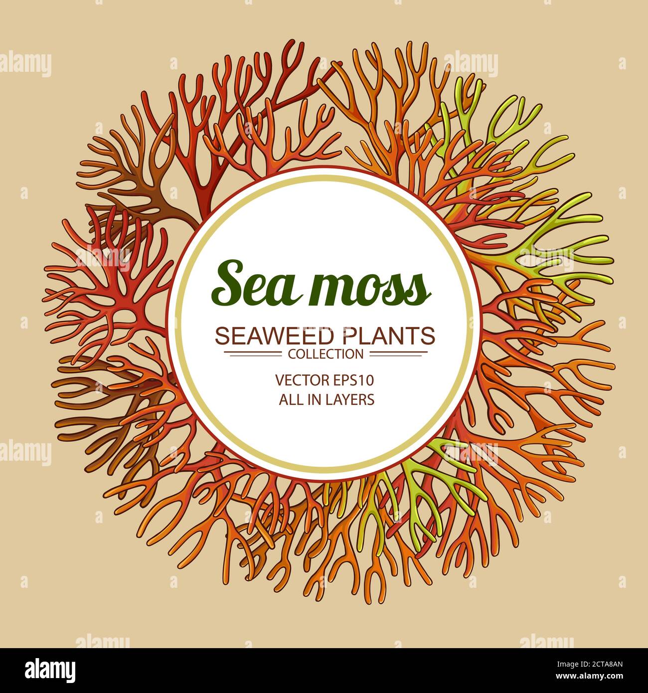 Ocean health supplement Stock Vector Images - Alamy