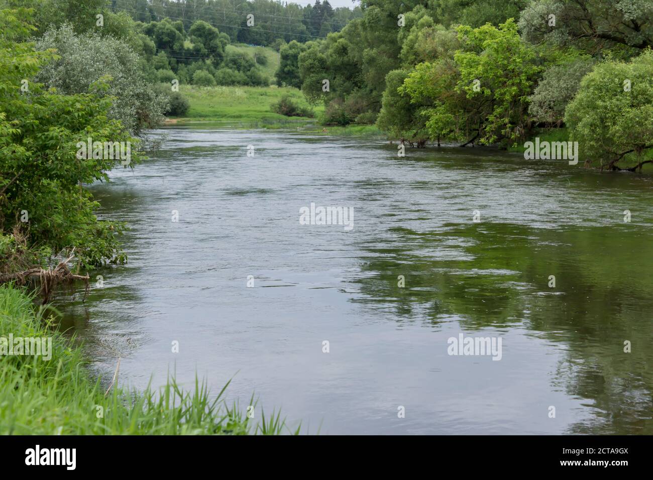 Blue river water. Trees and bushes hang over the water. The Protva ...