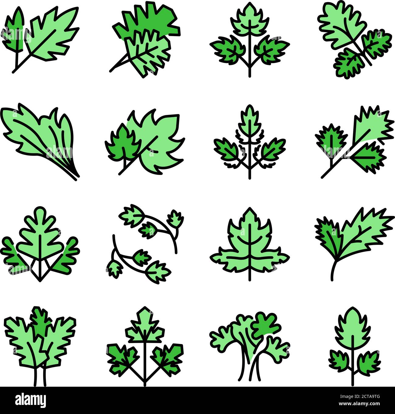 Parsley icons set vector flat Stock Vector Image & Art - Alamy