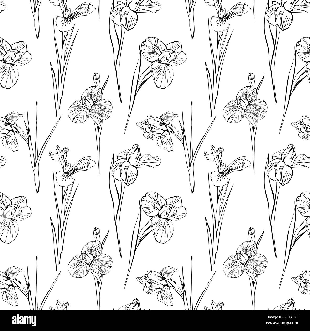 Irises flowers vector seamless background pattern hand drawn. Vector ...