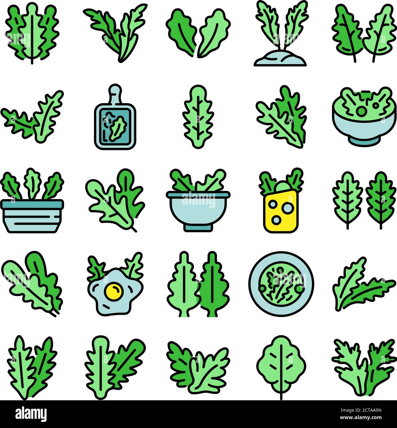 Arugula leafy green vegetable Stock Vector Images - Alamy