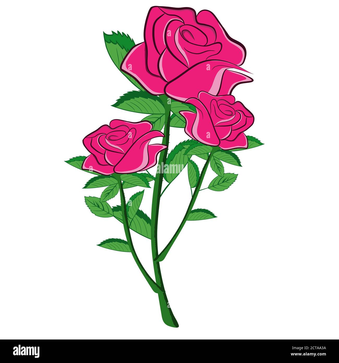 flower pink rose vector illustration graphics design Stock Vector Image ...
