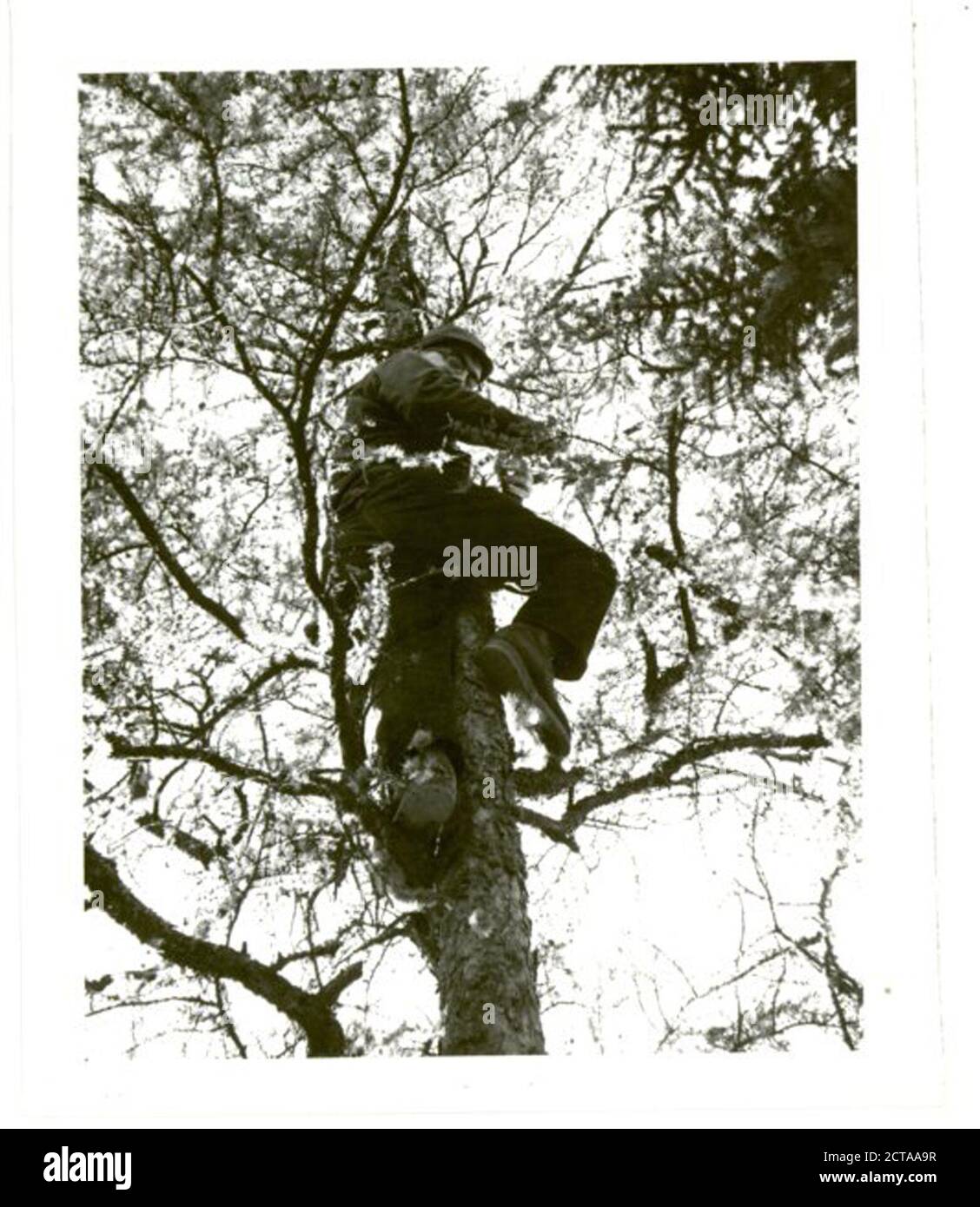 Retro tree climbing hi-res stock photography and images - Alamy