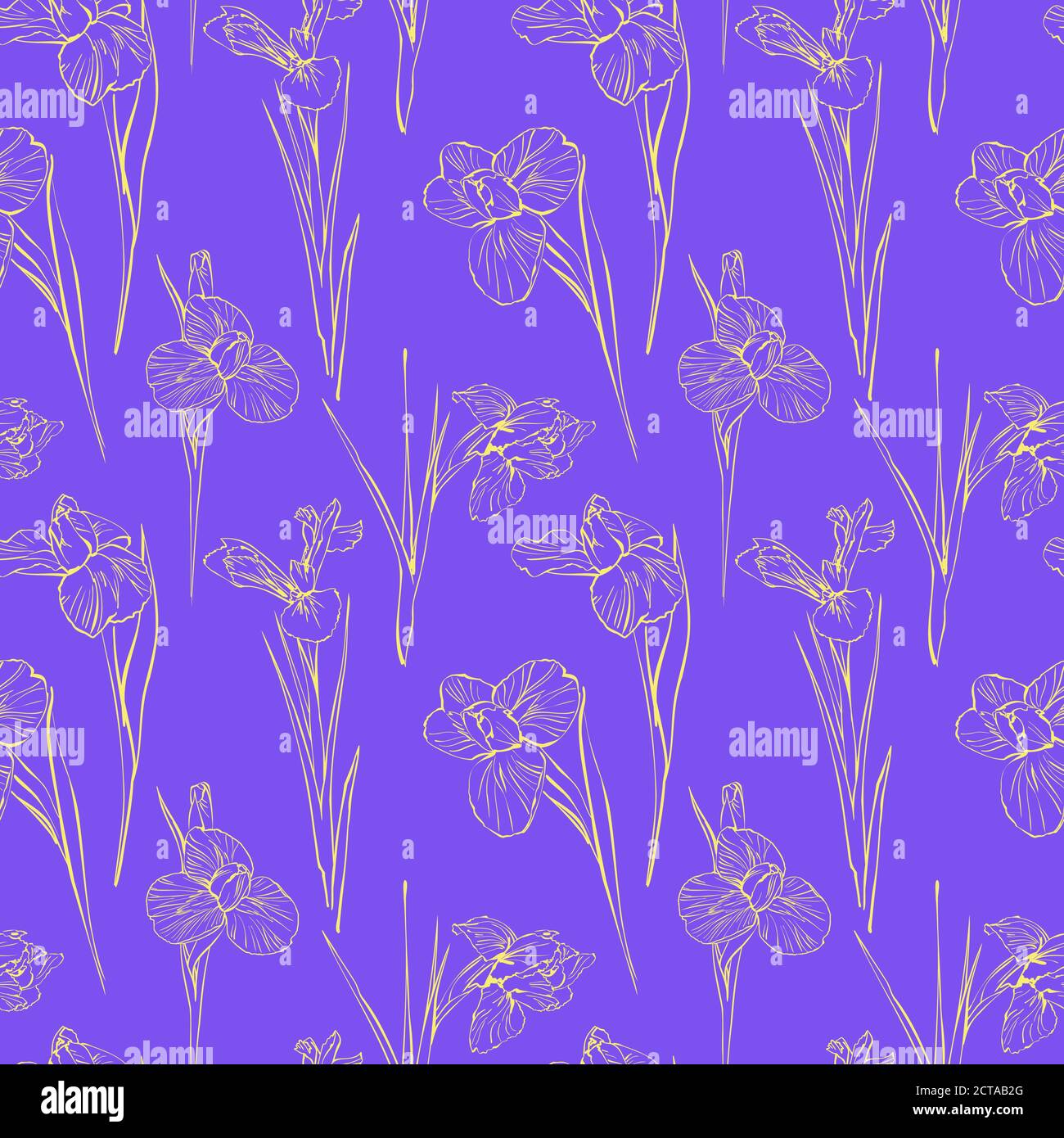 Irises flowers vector seamless background pattern hand drawn. Vector ...