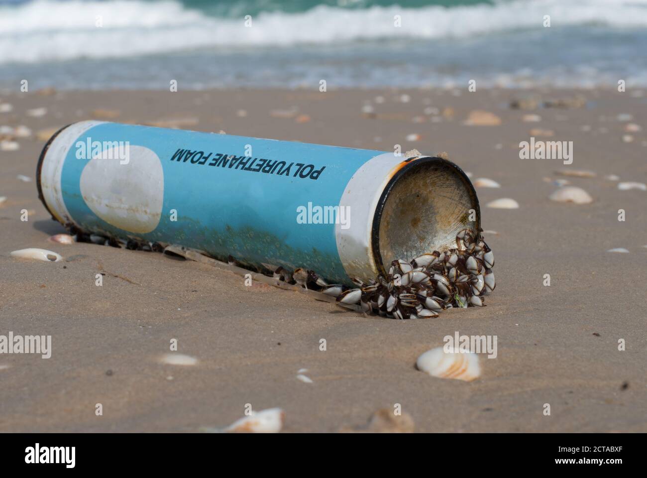 Polyurethane Foam Spray lying on the sand beach of the seashore ...
