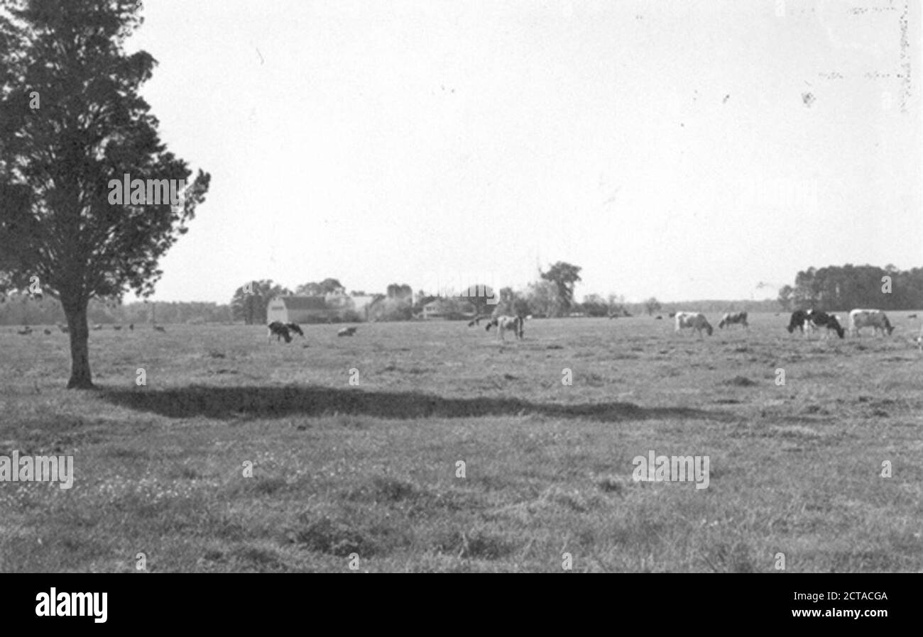 Denbigh History Historical High Resolution Stock Photography and Images ...