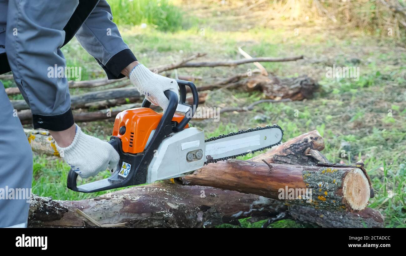 Close-up of sawing a dry log with a chainsaw Stock Photo - Alamy
