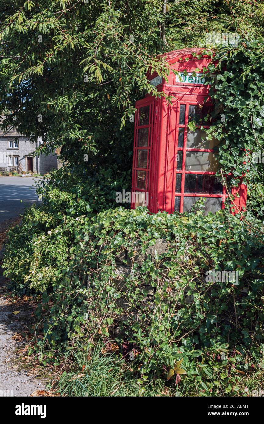 An old telephone box (now in use as a defibrillator) half-covered by ...