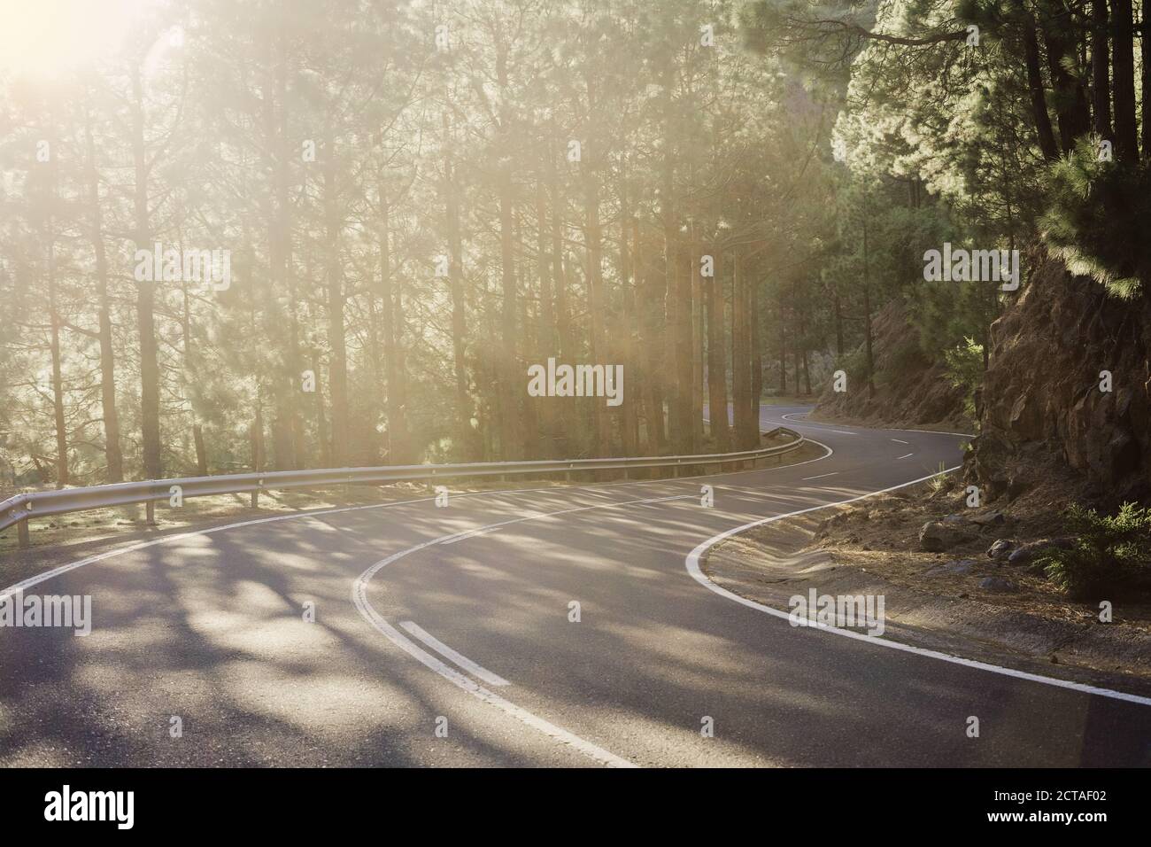 Winding asphalt road surrounded by greens Stock Photo - Alamy