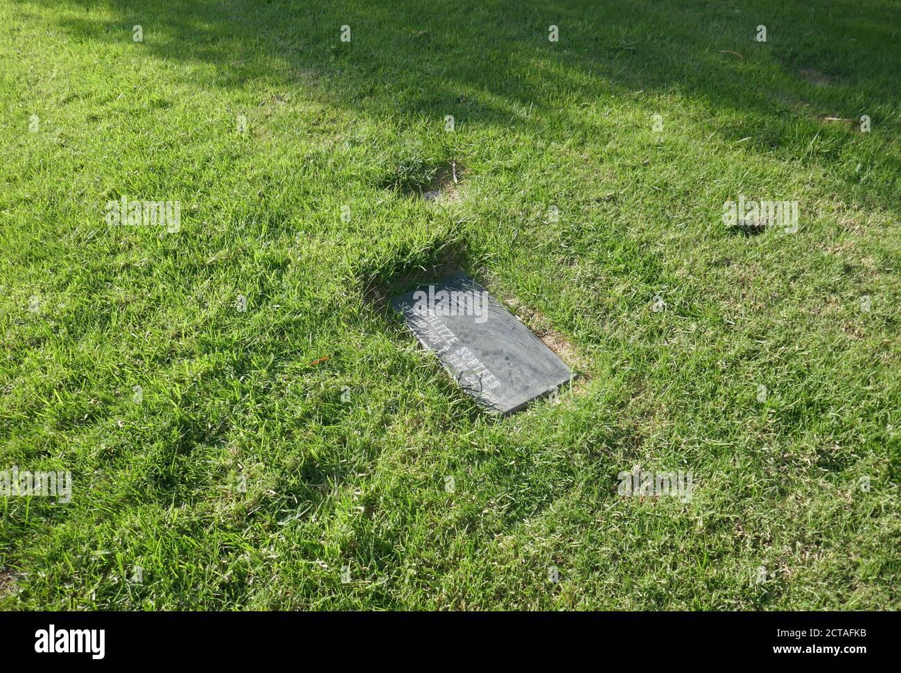 Schlitzie surtees hi-res stock photography and images - Alamy