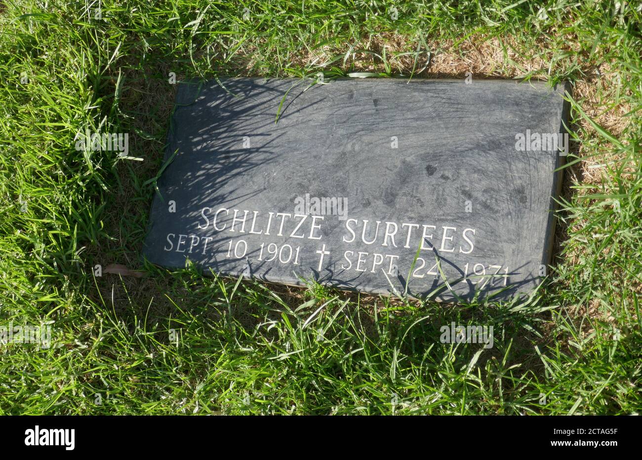 Schlitzie hi-res stock photography and images - Alamy