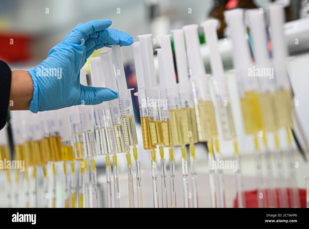 Kreischa, Germany. 21st Sep, 2020. Syringes with urine are placed on a ...