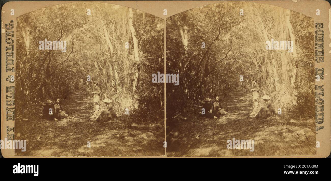 Indian trail., still image, Stereographs, 187, Engle & Furlong Stock ...