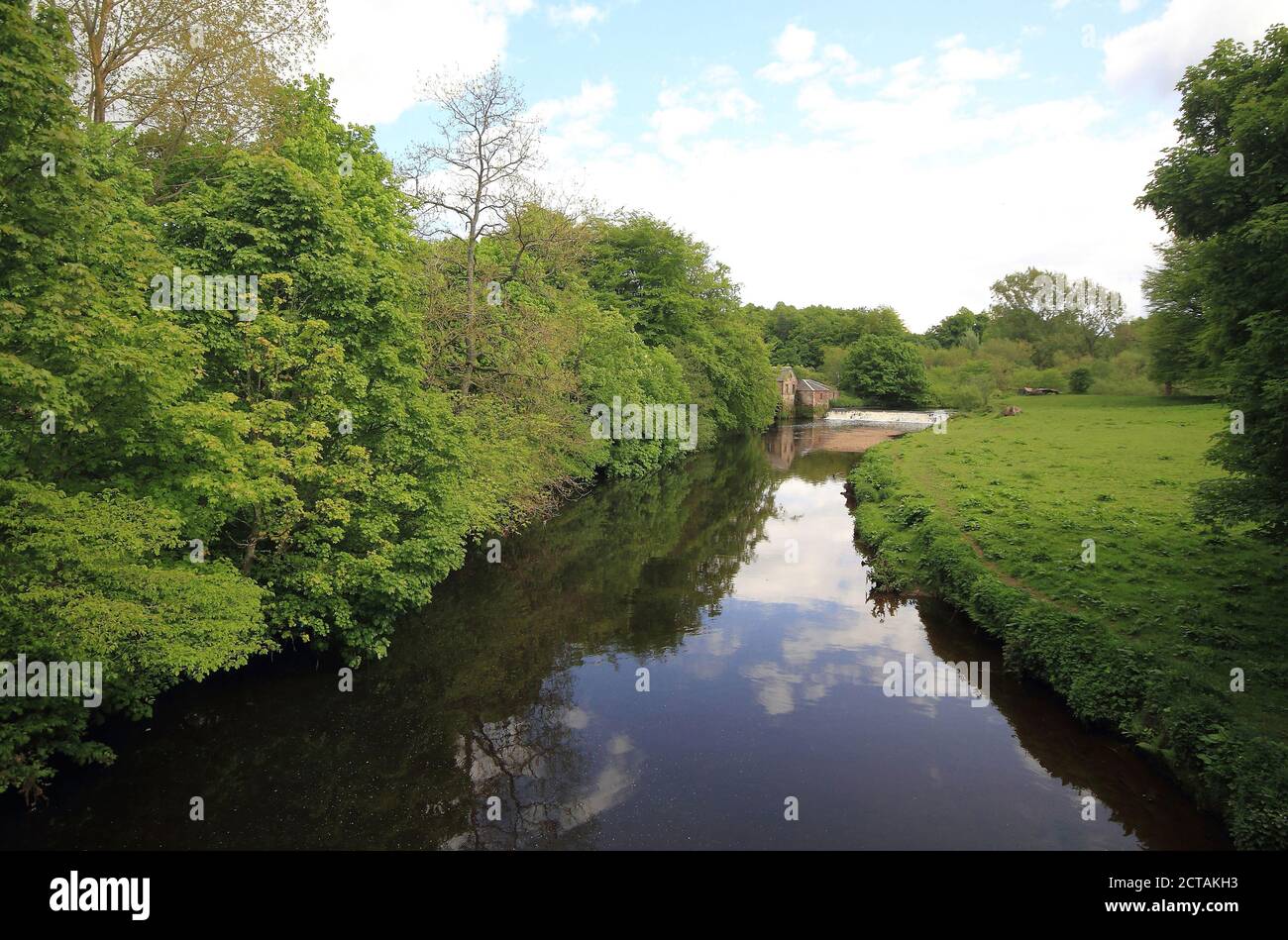 Ambling hi-res stock photography and images - Alamy