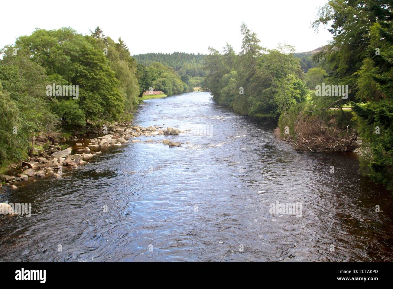 Ambling hi-res stock photography and images - Alamy