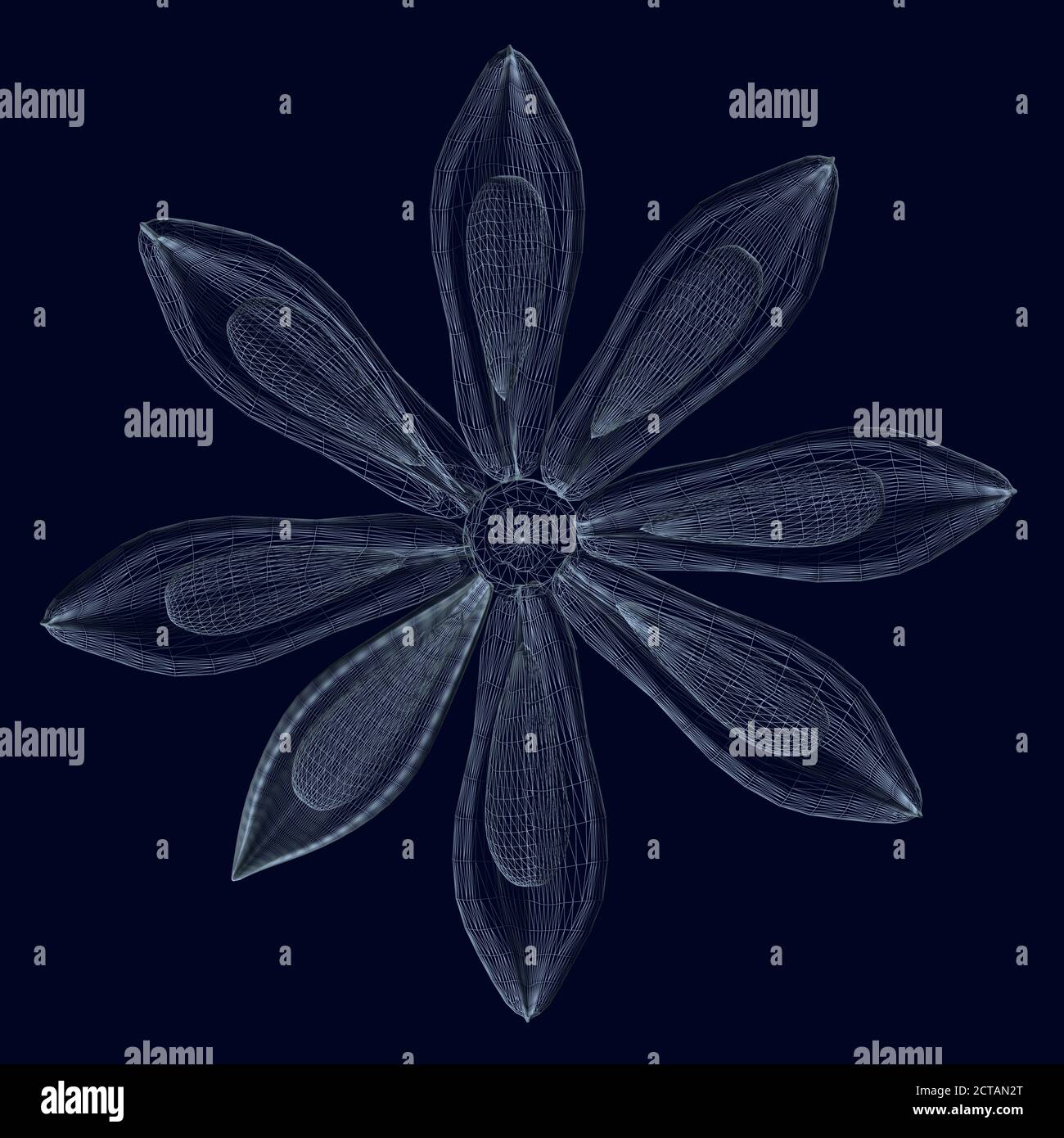 Abstract flower wireframe made of blue lines isolated on dark ...