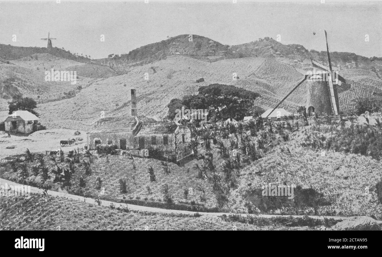 Impoverished Sugar-Estates, Barbados, still image, Photographs, 1899 ...