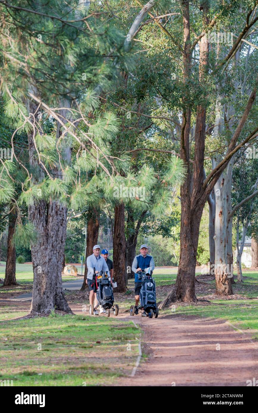 Three men push golf buggies along a path in the early morning on Gordon ...