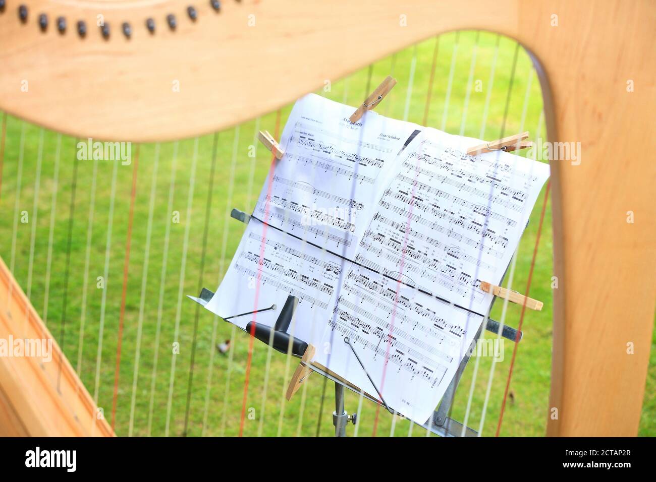 Harp Strings High Resolution Stock Photography and Images - Alamy