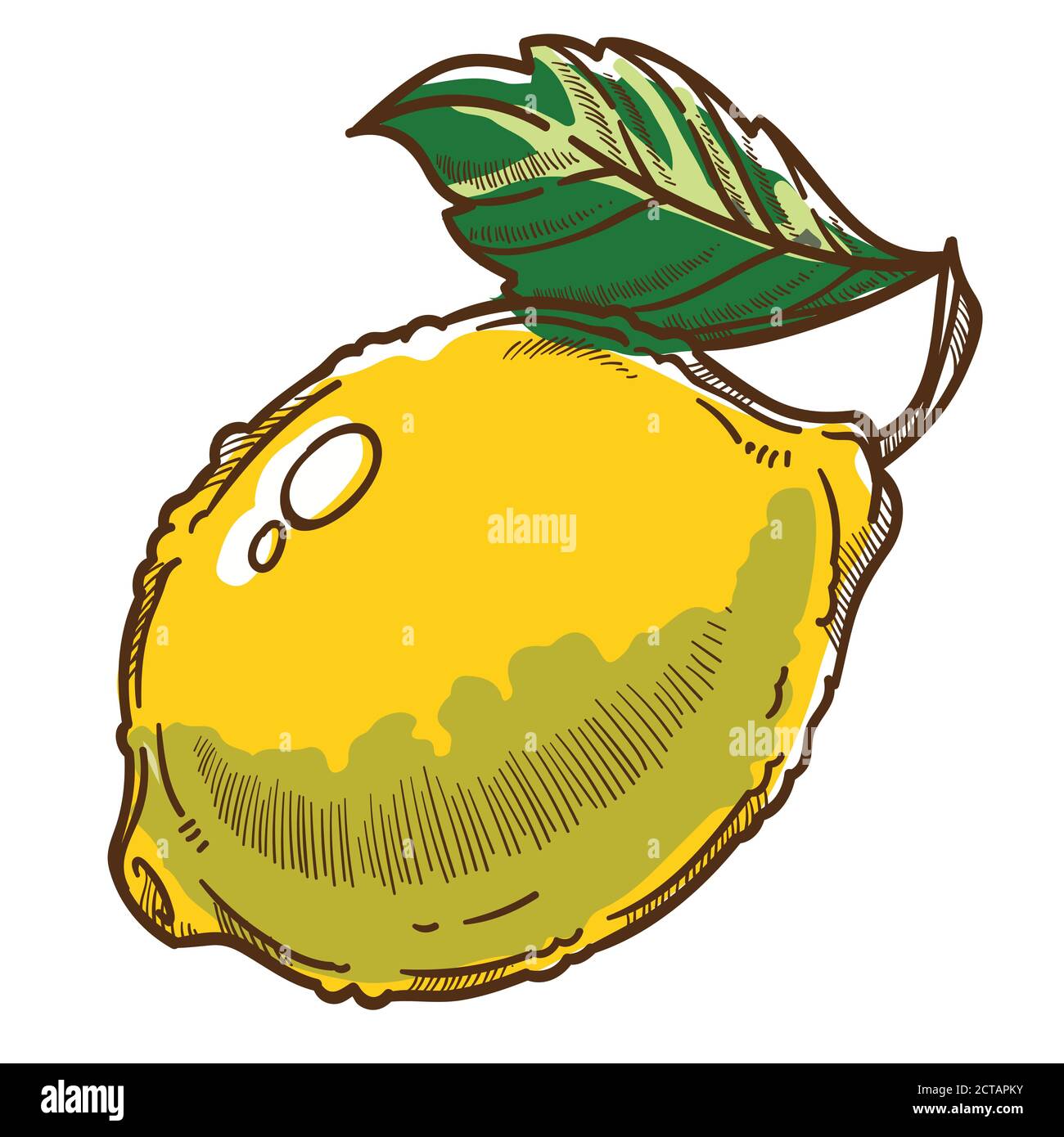 Lemon with leaf, citron fruit organic ingredient vector Stock Vector ...