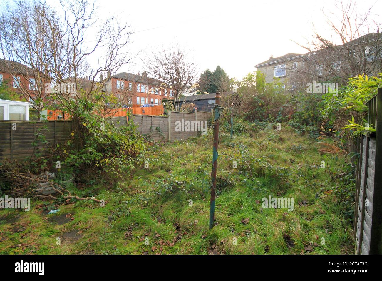 Overgrown Back Garden High Resolution Stock Photography and Images - Alamy