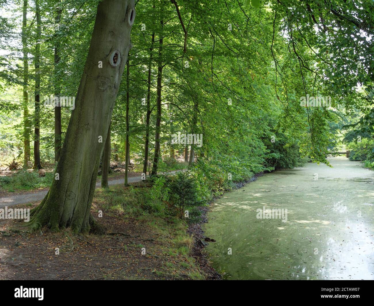 Legden village in the german westphalia Stock Photo - Alamy