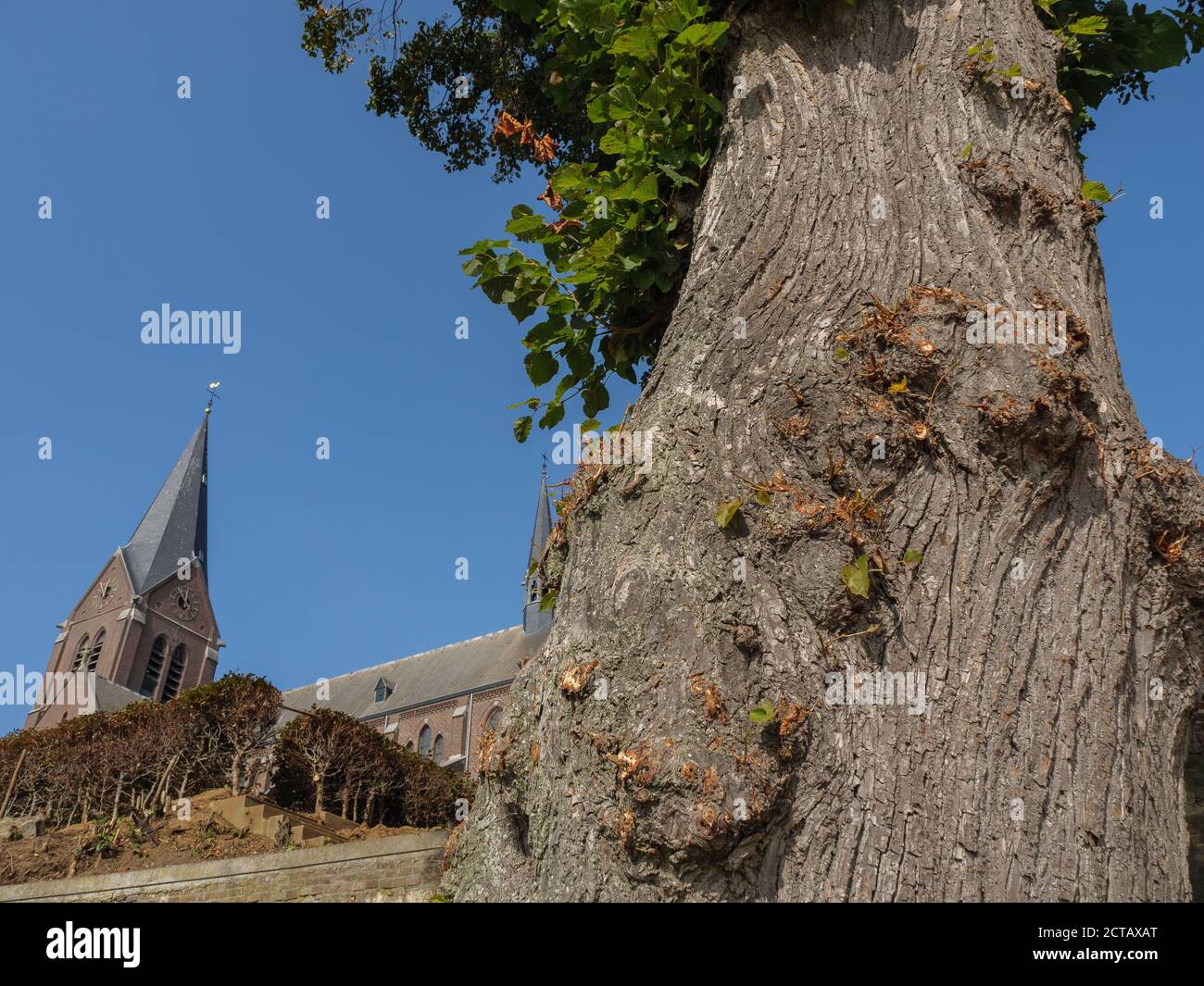 the dutch village kessel at the river maas Stock Photo - Alamy